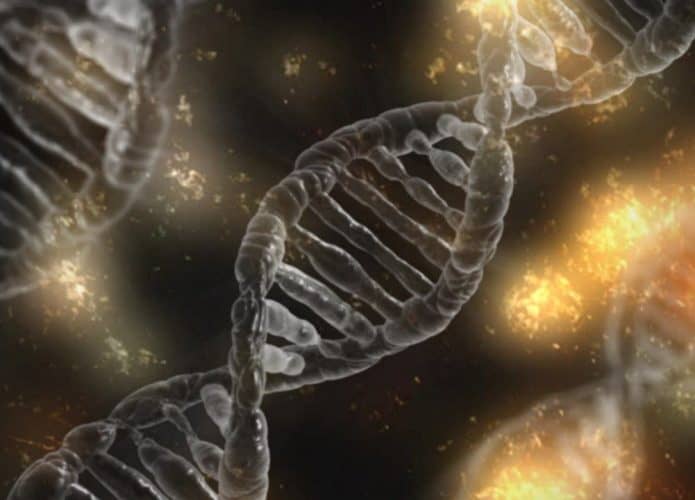 Cientistas fazem DNA humano parecer DNA de mosquito - Olhar Digital