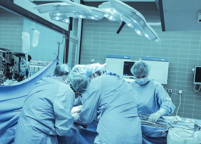 Transplante de rim de um animal para humano é feito pela primeira vez