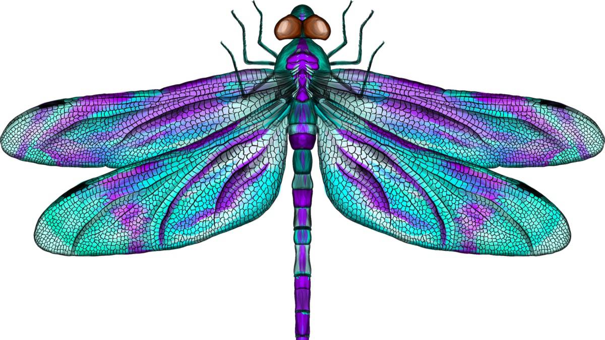 Fóssil de inseto de 100 milhões de anos intriga cientistas - Olhar Digital