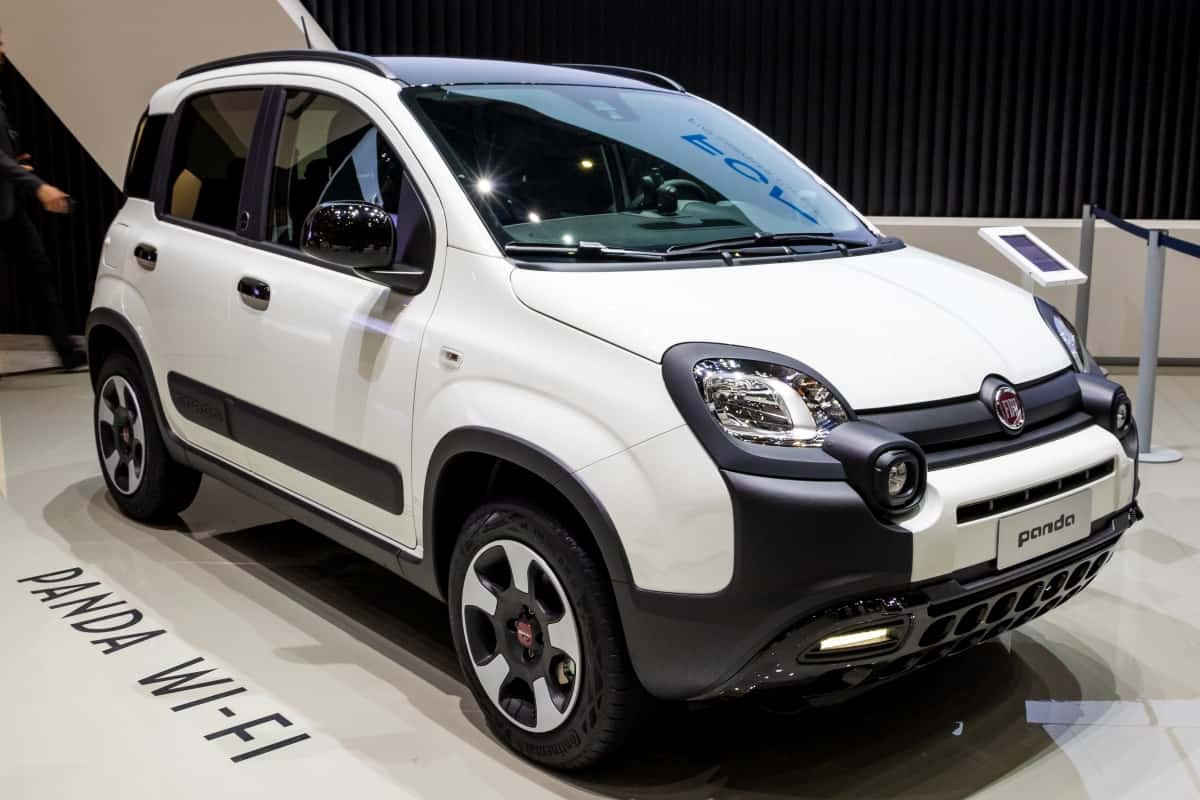 Stellantis promete um "primo elétrico" do Fiat Panda com preço competitivo