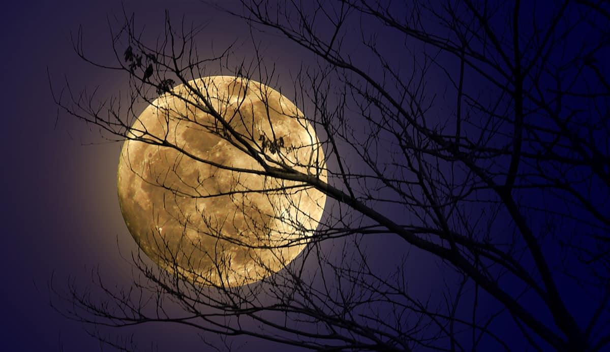 Qual a fase da Lua hoje? 03/05/2024 - Olhar Digital