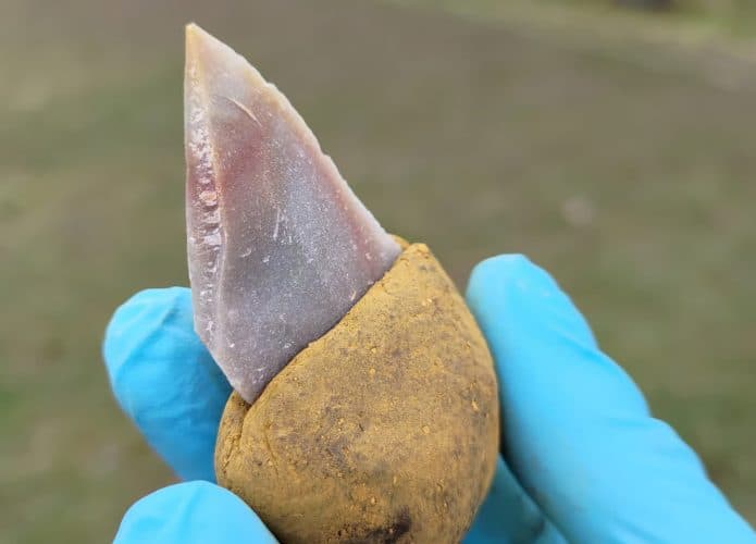 Cola pré-histórica aproxima os neandertais dos Homo sapiens