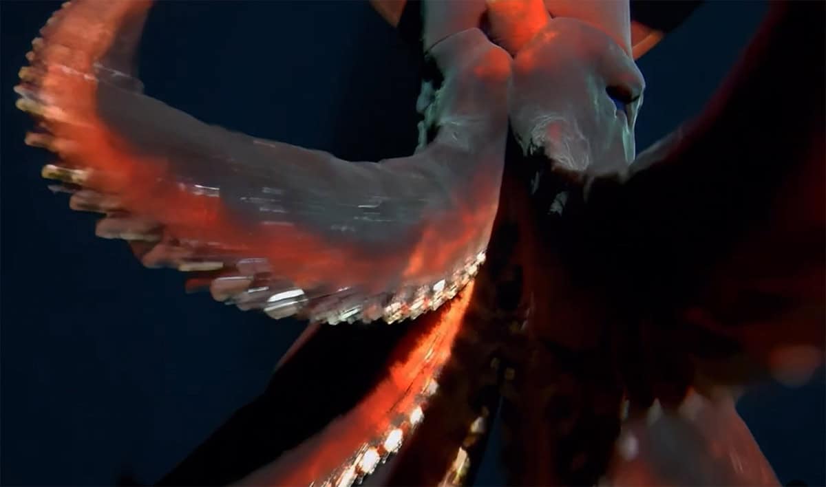 Lula rara do fundo do mar brilha em imagens impressionantes - Olhar Digital