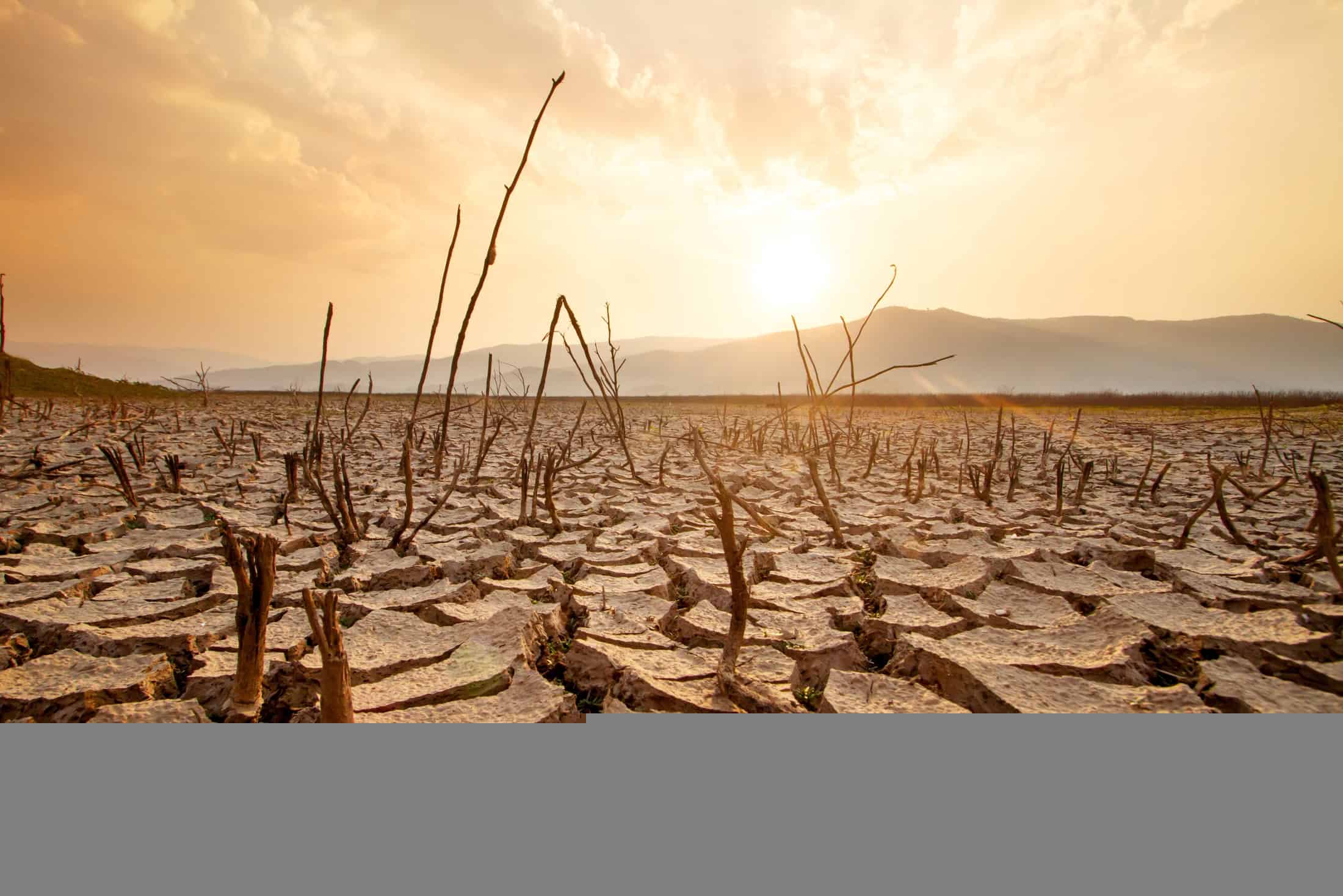 Risco de escassez global de água é maior do que pensávamos