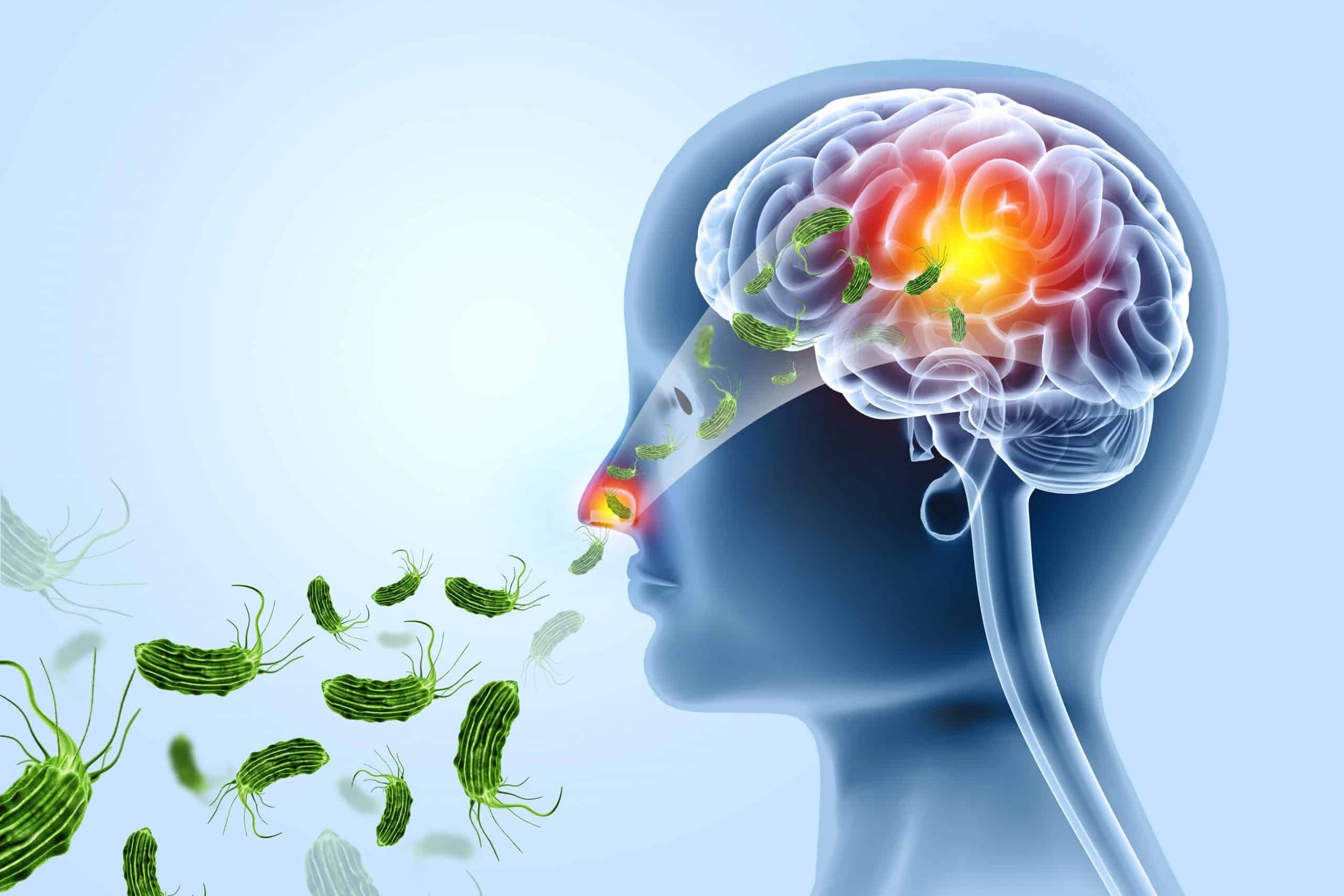 Ameba na água: veja os tipos presentes e os perigos para saúde