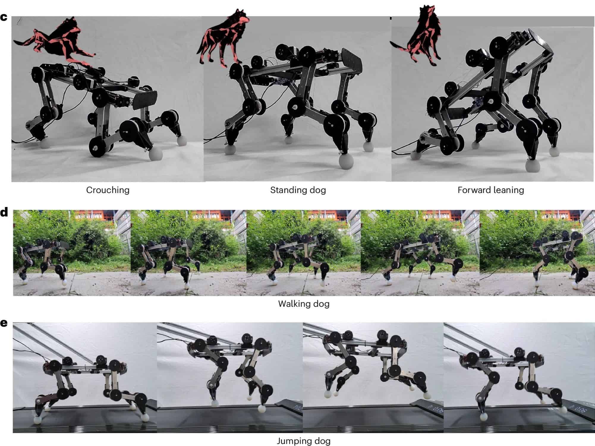 Cientistas criam cão-robô que consegue se mover sem motores - Olhar Digital