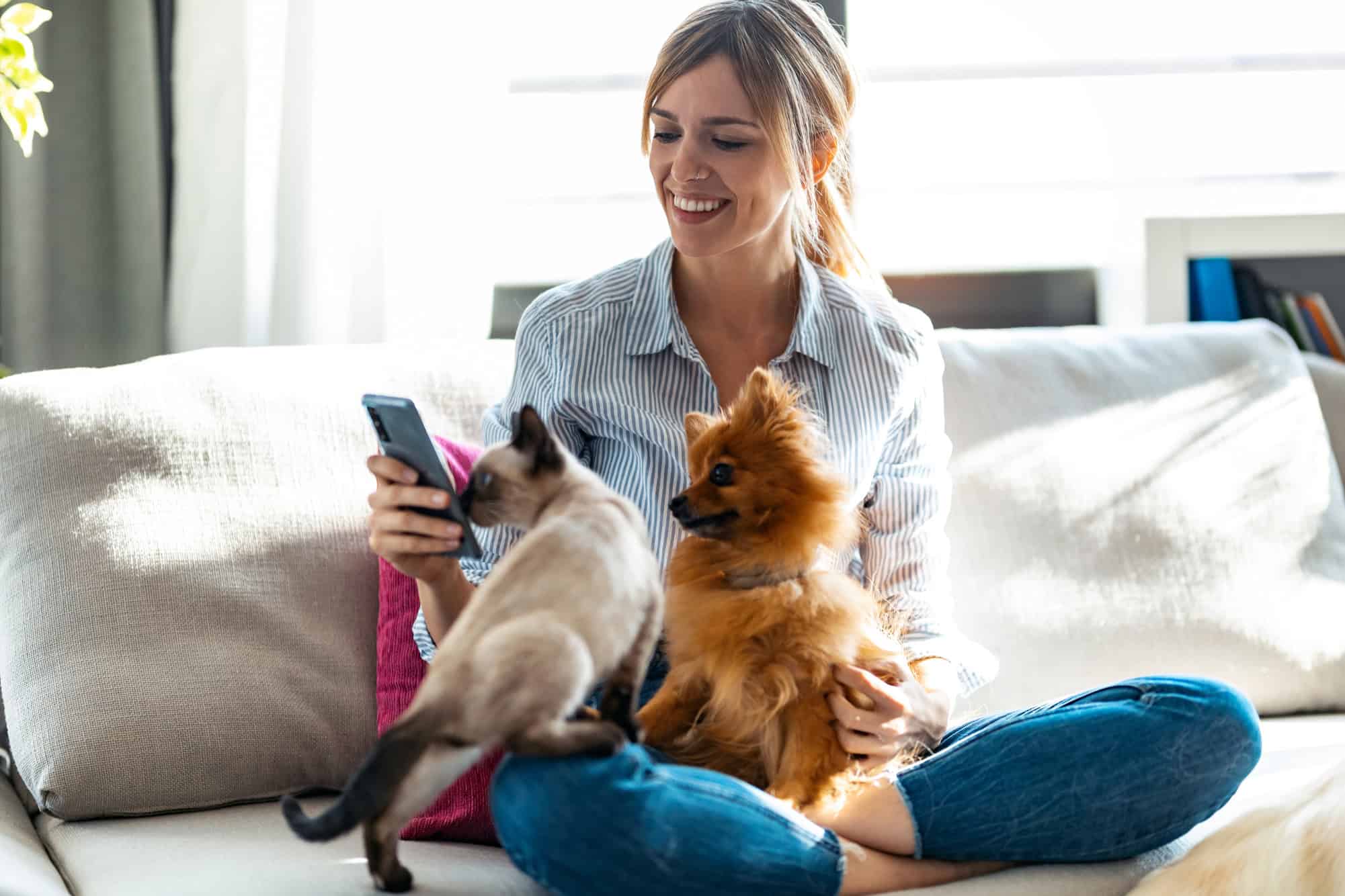 PetPhone: conheça o 'celular' para os seus bichinhos - Olhar Digital