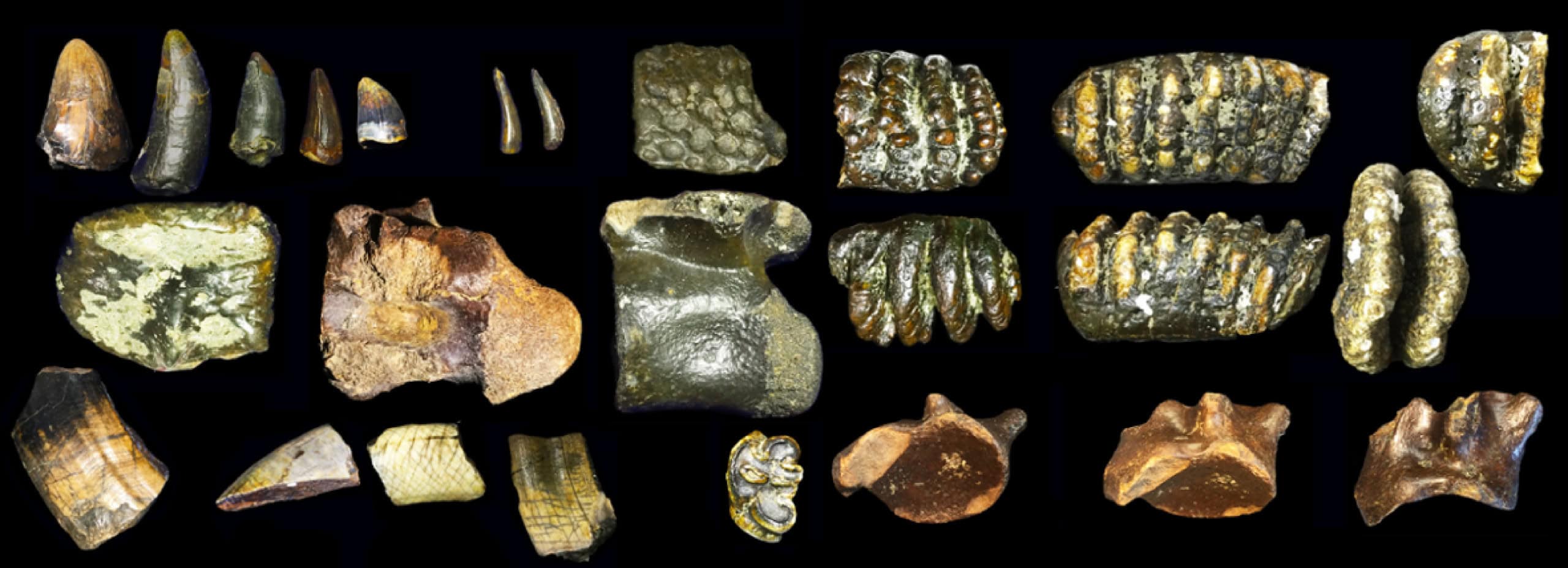 Fósseis revelam que humanos antigos habitaram ilha isolada